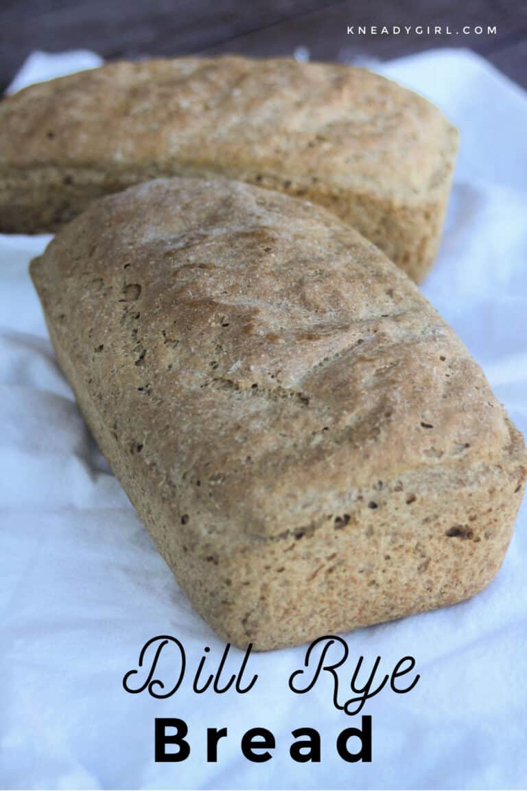Dill Rye Bread - Kneady Girl